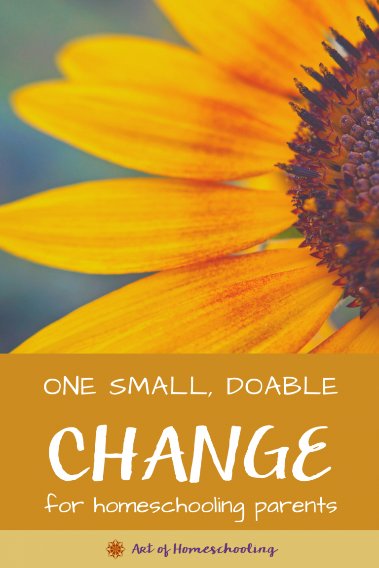 One Small, Doable Change ⋆ Art of Homeschooling