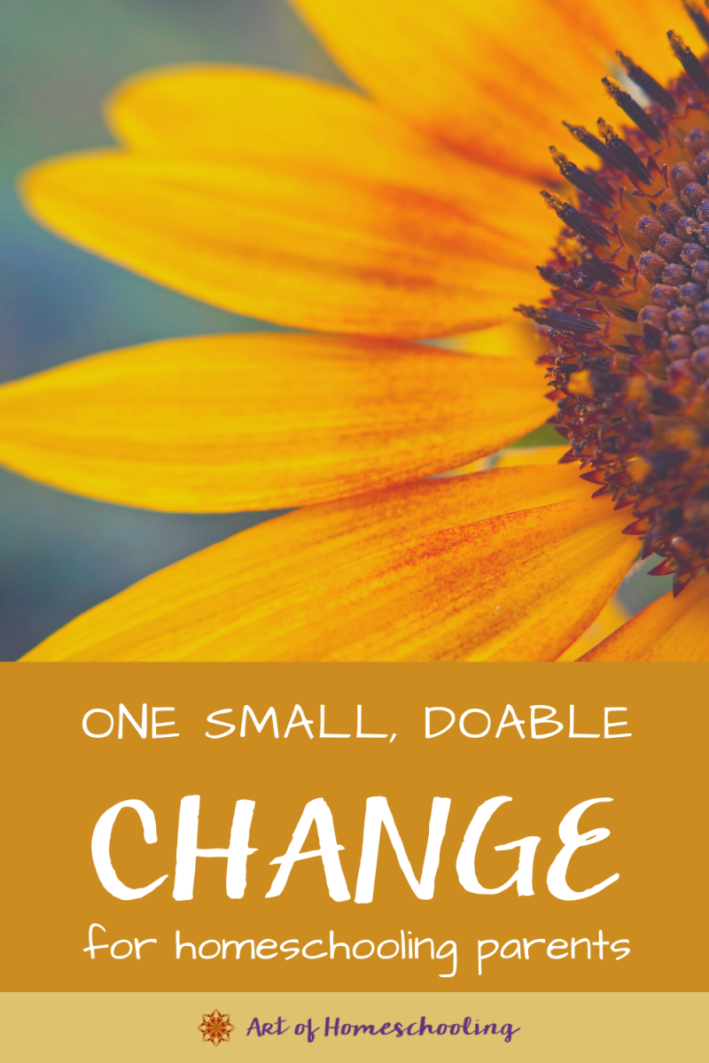 One Small, Doable Change ⋆ Art of Homeschooling