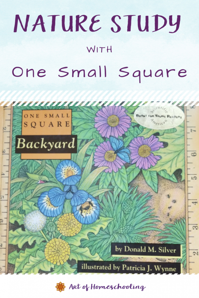 Nature Study with One Small Square ⋆ Art of Homeschooling