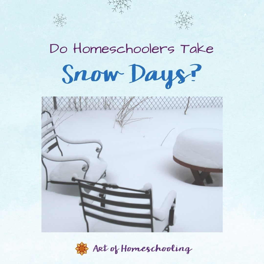 Do Homeschoolers Take Snow Days? ⋆ Art of Homeschooling
