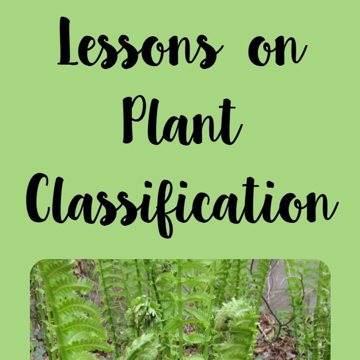 Lessons On Plant Classification Lessons On Plant Classification