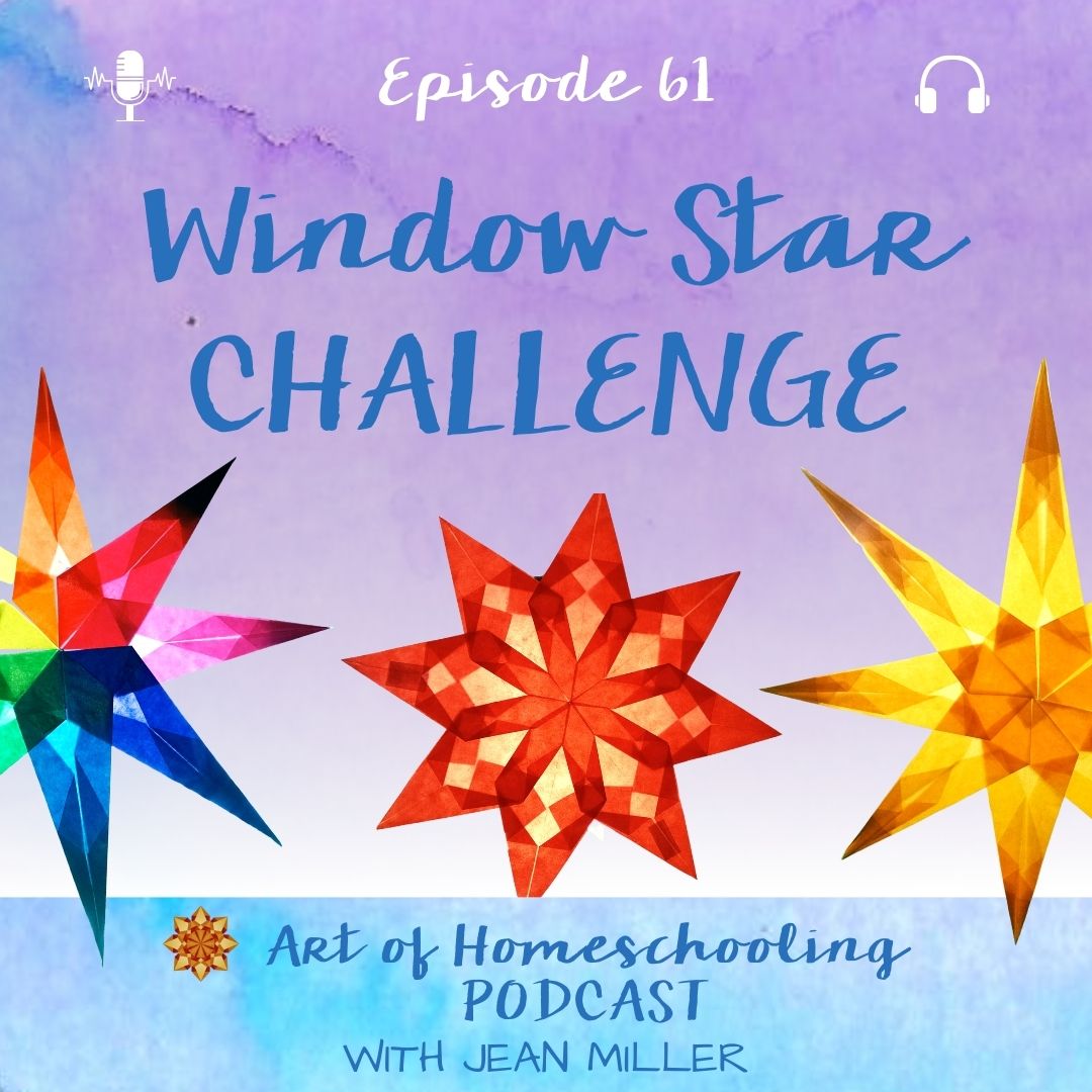 Shine Through the Darkness with the Window Star Challenge